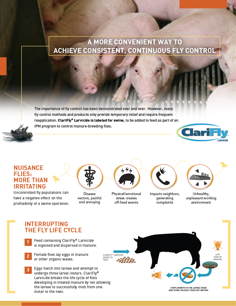 Swine | ClariFly® Larvicide